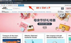 如何在 Opera 浏览器中翻译网页？ - TobMac