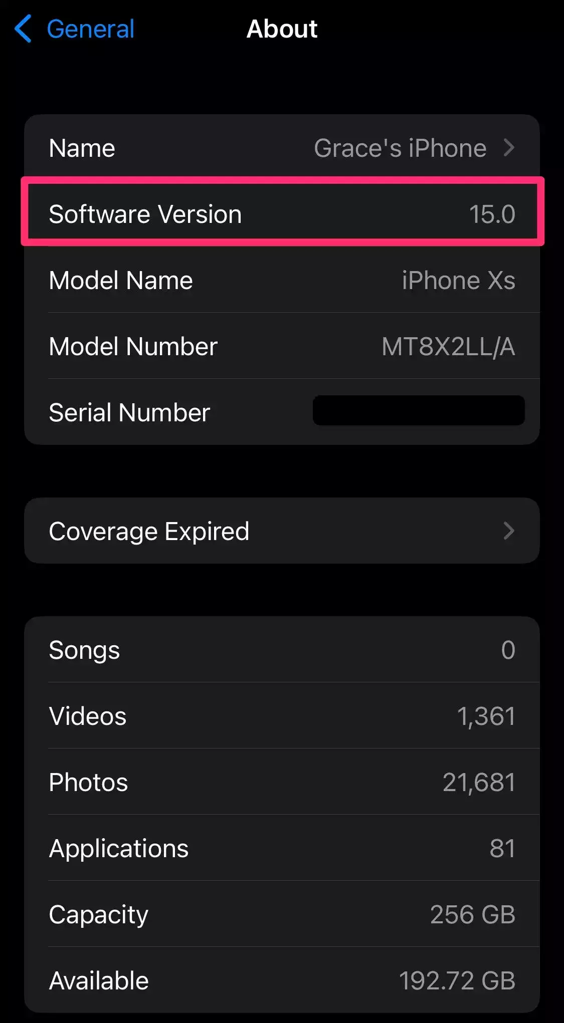 如何检查 iPhone 和 iPad 上的 iOS 或 iPadOS 版本 - TobMac